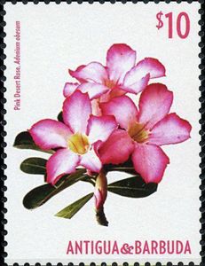 Stamp: Pink Desert Rose (Adenium obesum) (Antigua and Barbuda(Flowers ...