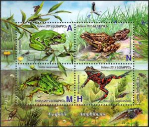 Stamp: Fauna of Belarus - Amphibians (2015) (Belarus(Fauna of Belarus ...