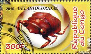 Selo: Gelastocoridae (Cinderelas (selos com emissões não oficiais ...