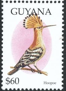 Stamp: Eurasian Hoopoe (Upupa epops) (Guyana(Birds (1995)) Mi:GY 5132 ...