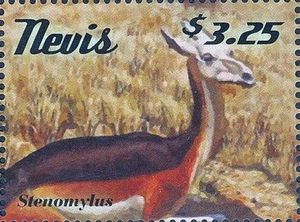 Stamp: Stenomylus (Nevis) (Prehistoric Mammals) Mi:KN-N 3021,Sn:KN-N ...
