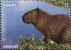 Sello: Greater Capybara (Hydrochoerus hydrochaeris) (Uruguay(Wetlands ...