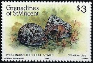 Stamp: West Indian Top Shell (Cittarium pica) (Grenadines of St ...