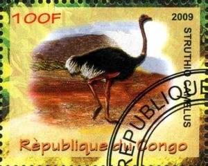 Stamp: Ostrich (Struthio camelus) (Congo, Republic (Brazzaville ...