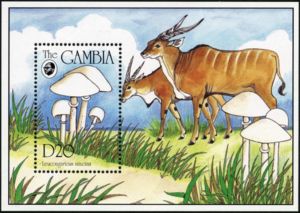 Stamp: Leucoagaricus naucina (Gambia(Mushrooms (1994)) Mi:GM BL239,Sn ...