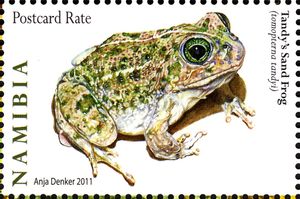 Stamp: Tandy's Sand Frog (Tomopterna tandyi) (Namibia(Frogs of Namibia ...
