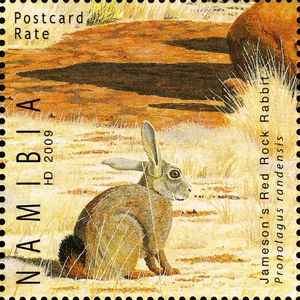 Stamp: Jameson's Red Rock Rabbit (Pronolagus randensis) (Namibia(The ...