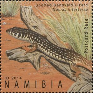 Stamp: Spotted Sandveld Lizard (Nucras intertexta) (Namibia) (Kalahari ...