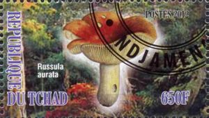 Stamp: Russula aurata (Chad: Illegal Stamps(Mushrooms (2012)) Col:TD ...