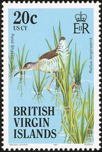 Stamp: Pond Shakey (Rallus crepitans) (British Virgin Islands(Birds) Mi ...