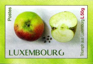 Stamp: "Triumph" apple (Luxembourg(Fruit varieties as a cultural asset ...