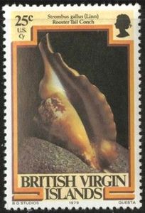 Stamp: Rooster Tail Conch (Strombus gallus) (British Virgin Islands ...
