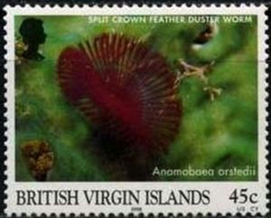 Stamp: Split-crown Feather Duster Worm (Anamobaea orstedii) (British ...