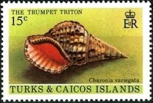 Frimärke: Atlantic Triton (Charonia variegata) (Turks- och Caicosöarna ...