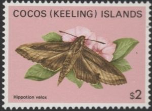 Stamp: Moth (Hippotion velox) (Cocos (Keeling) Islands(Butterflies and ...
