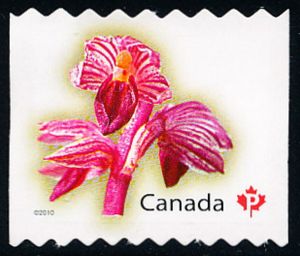 Stamp: Spotted Coralroot (Corallorhiza maculata) - Sawtooth perf ...