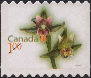 Stamp: Giant Helleborine (Epipactis gigantea)- rounded (Canada(Flower ...