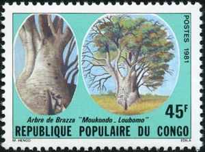 Timbre: Tree of Brazza (Congo, république (Brazzaville) (Tree of Brazza ...