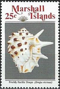 Stamp: Prickly Pacific Drupe (Drupa ricinus) (Marshall Islands(Sea ...