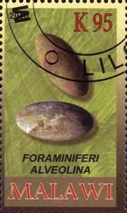 Stamp: Foraminiferi alveolina (Malawi: Illegal Stamps(Fossils and ...