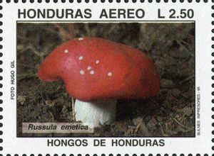 Stamp: Russula emetica (Honduras) (Mushrooms (1995)) Mi:HN 1279,Sn:HN ...