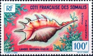 Stamp: Giant Spider Conch (Lambis bryonia) (French Somaliland (Somali ...