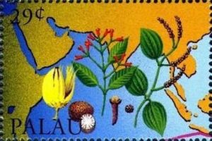 Stamp: Betel palm, cloves (Palau(Age of Discovery) Mi:PW 539,Sn:PW 302i ...