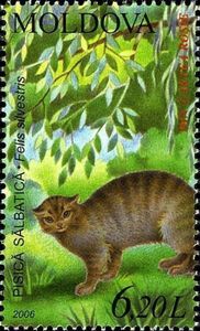 Stamp: Wildcat (Felis silvestris) (Moldova(Red Book of Moldova - Fauna ...
