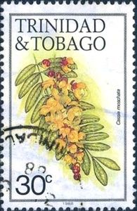 Stamp: Cassia moschata (Trinidad and Tobago(Flowers Definitives 1983-89 ...