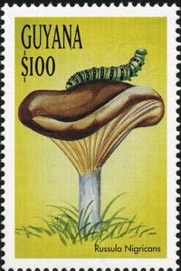 Stamp: Russula nigricans (Guyana) (Mushrooms (1999)) Mi:GY 6535,Sn:GY ...