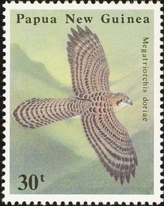 Stamp: Doria's Goshawk (Megatriorchis doriae) in flight (Papua New ...