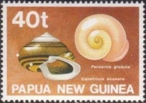 Timbre: Forcartia globula and Canefriula azonata (Papouasie Nouvelle ...