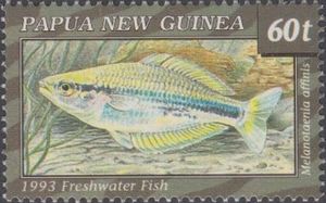 Stamp: New Guinea Rainbowfish (Melanotaenia affinis) (Papua New Guinea ...