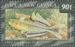 Stamp: Popondetta Rainbowfish (Pseudomugil connieae) (Papua New Guinea ...