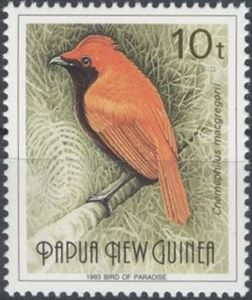 Stamp: Crested Satinbird (Cnemophilus macgregorii) (Papua New Guinea ...