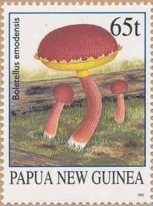 Stamp: Shaggy Cap (Boletellus emodensis) (Papua New Guinea(Fungi) Mi:PG ...