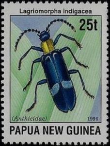 Stamp: Pselaphid Beetle (Lagriomorpha indigacea) (Papua New Guinea ...