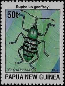 Stamp: Ground Beetle (Eupholus geoffroyi) (Papua New Guinea(Native ...