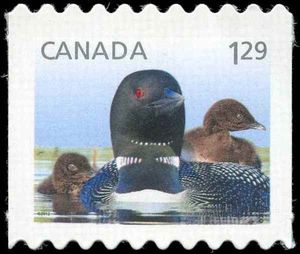 Stamp: Common Loon (Gavia immer) (Canada(Definitives 2011-2014. Young ...