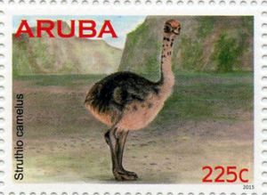 Stamp: Ostrich (Struthio camelus) - juvenile (Aruba(Ostriches) Mi:AW ...
