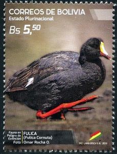 Stamp: Horned Coot (Fulica cornuta) (see Description) (Bolivia ...