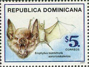 Stamp: Brown Flower Bat (Erophylla bombifrons sancristobalensis ...