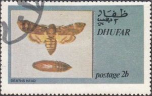 Stamp: Deaths Head (Cinderellas(Dhufar) Col:DH 1974-02/2