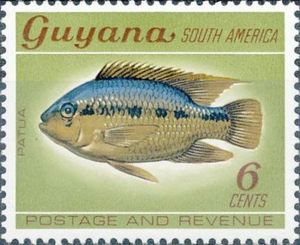 Stamp: Patua or Black Acara (Cichlasoma bimaculatum) (Guyana(Fish (1969 ...