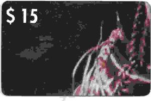 Phonecard: Madonna - Puzzle 09/10 (FAKE United States of America, Fake ...