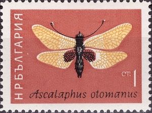 Stamp: Owlfly (Ascalaphus otomanus) (Bulgaria(Insects) Mi:BG 1446,Sn:BG ...