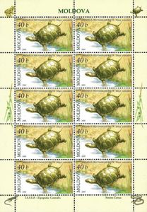 Stamp: European Pond Turtle (Emys orbicularis) (Moldova(Red Book of ...