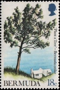 Stamp: Bermuda Cedar (Bermuda(Trees) Mi:BM 289,Sn:BM 300,Yt:BM 288,Sg ...