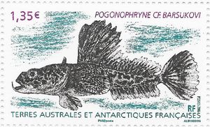 Stamp: Stubbeard Plunderfish (Pogonophryne barsukovi) (French Southern ...