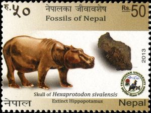 Stamp: Hexaprotodon sivalensis (Nepal) (Fossils) Mi:NP 1121,Sn:NP 942 ...
